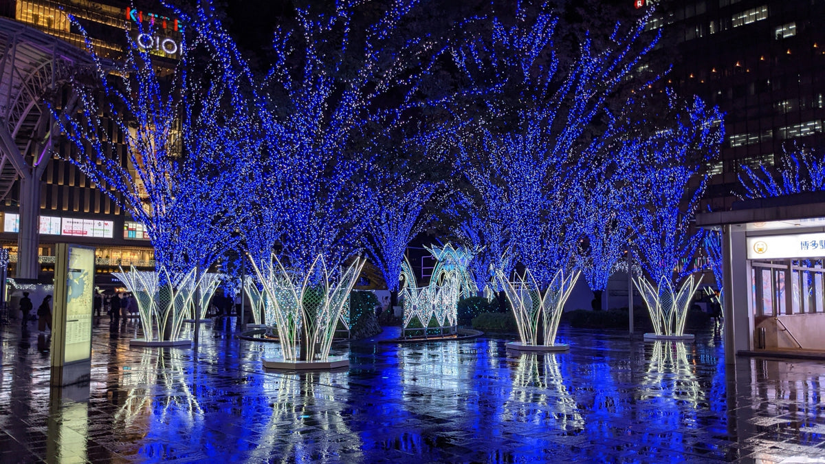 キラキラ幻想的！福岡のイルミネーション2024 – UMACA meal